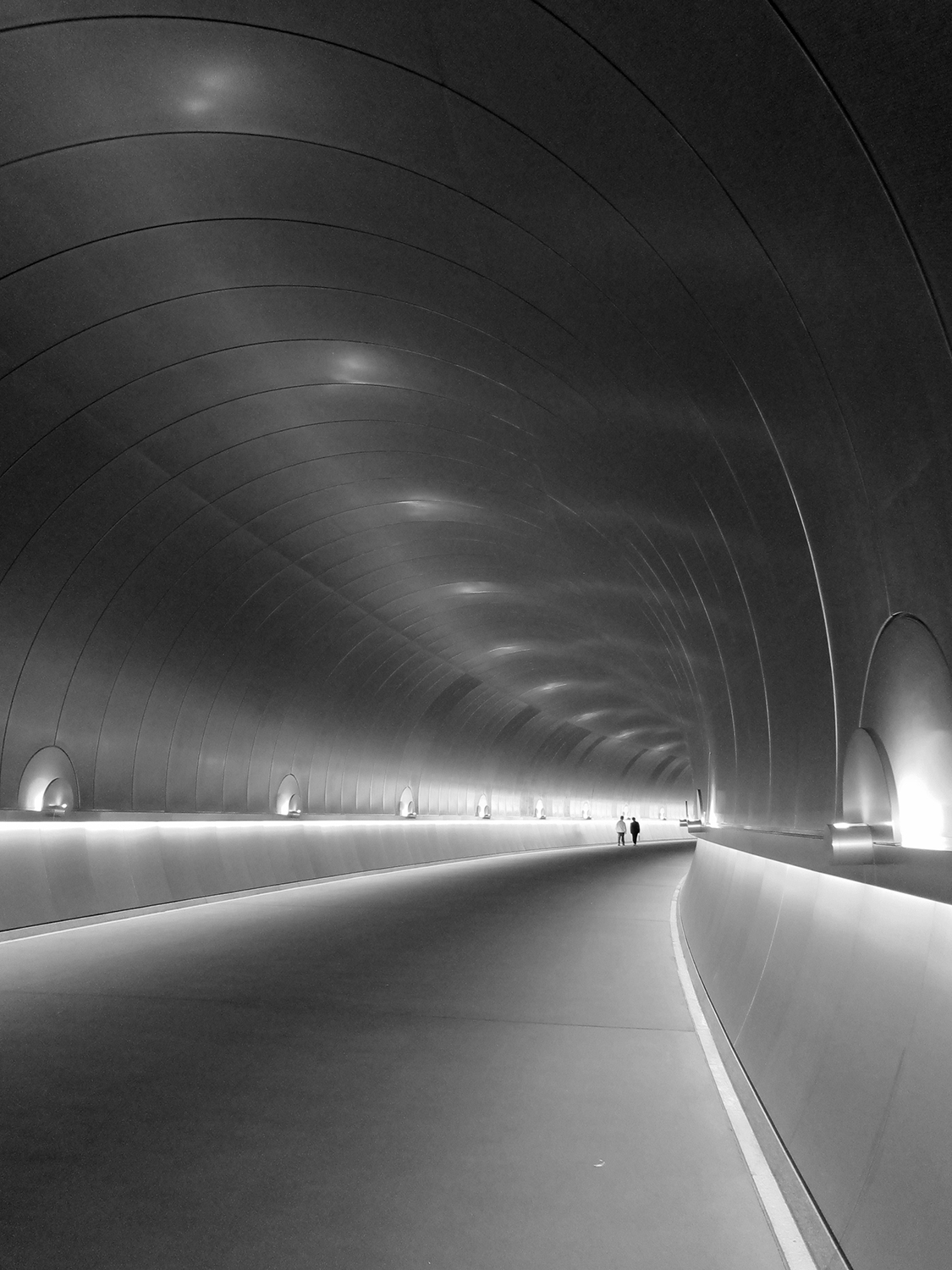 Vision and Discovery: Photography Today