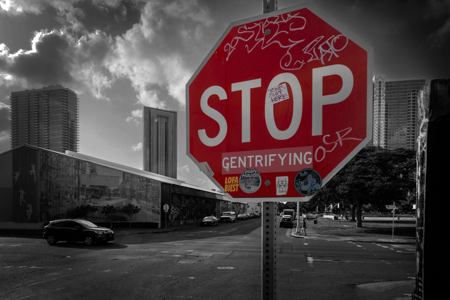 Susan Polanco de Couet